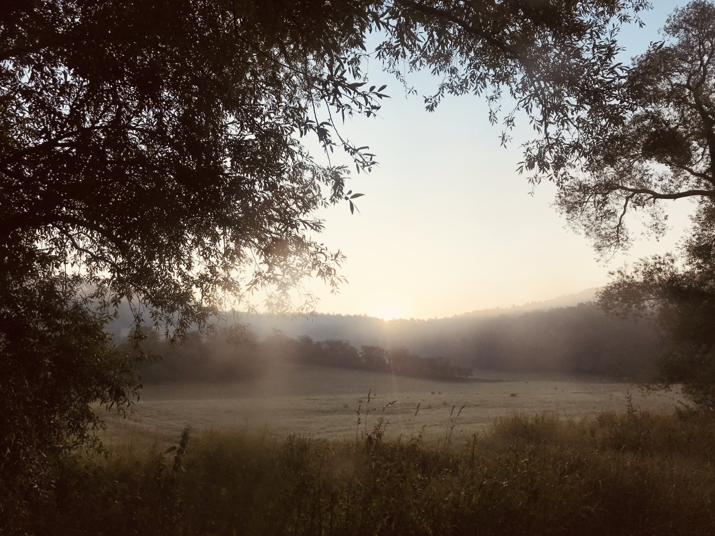 Der letzte Tag mit Nebel und Bobbahn - lowercase.natuerlich